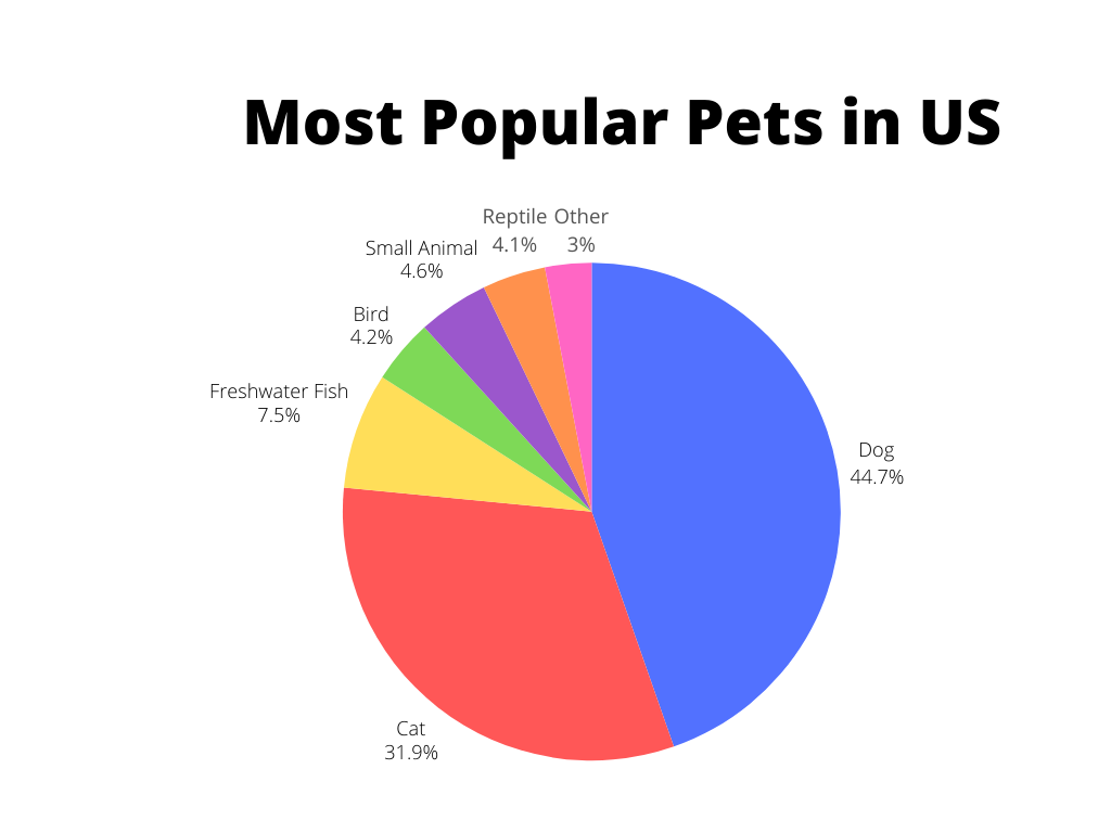 Pet Custody | The Ultimate California Pet Custody Divorce Guide